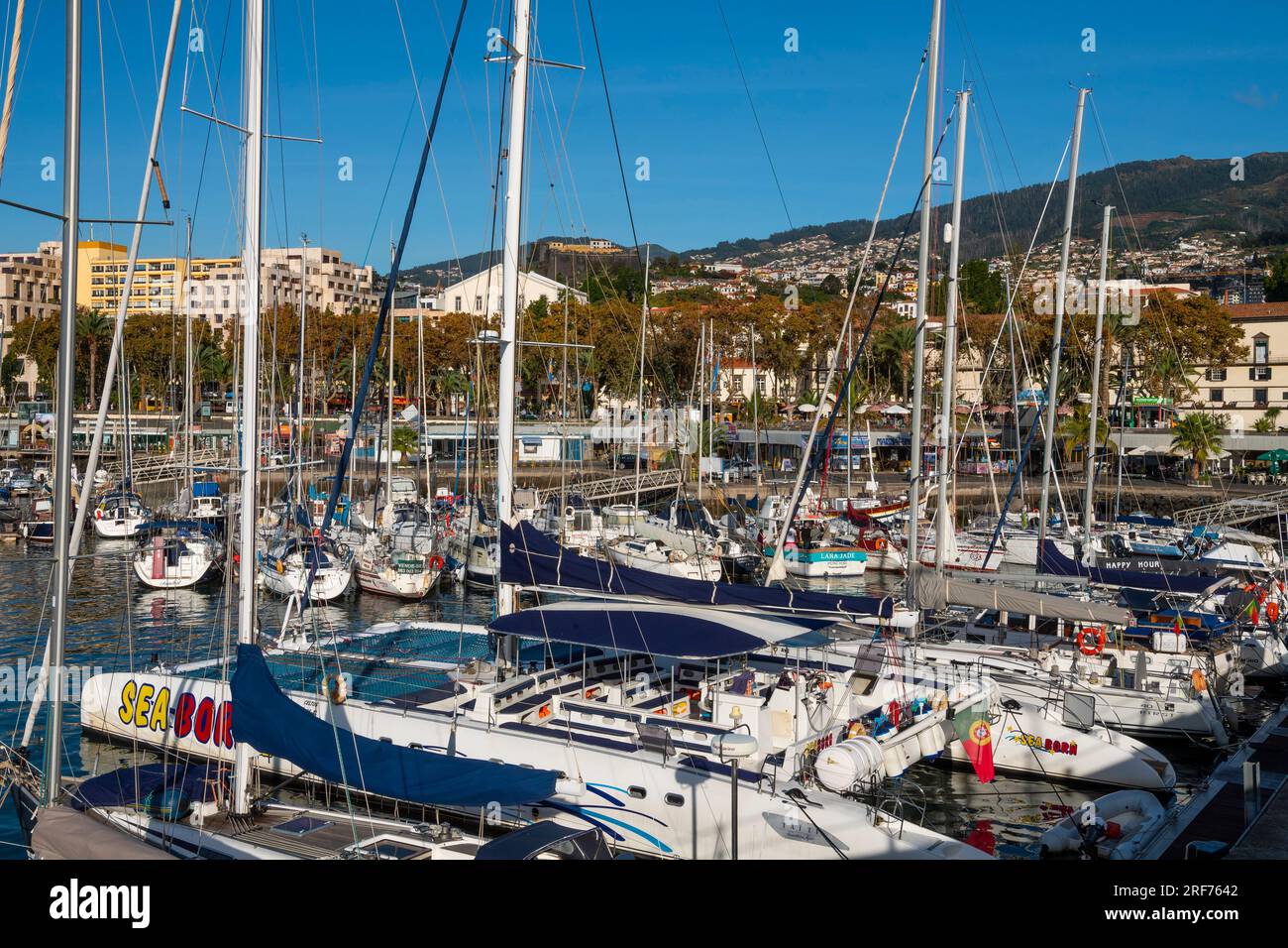 Funchal hafengebiet hi-res stock photography and images - Alamy