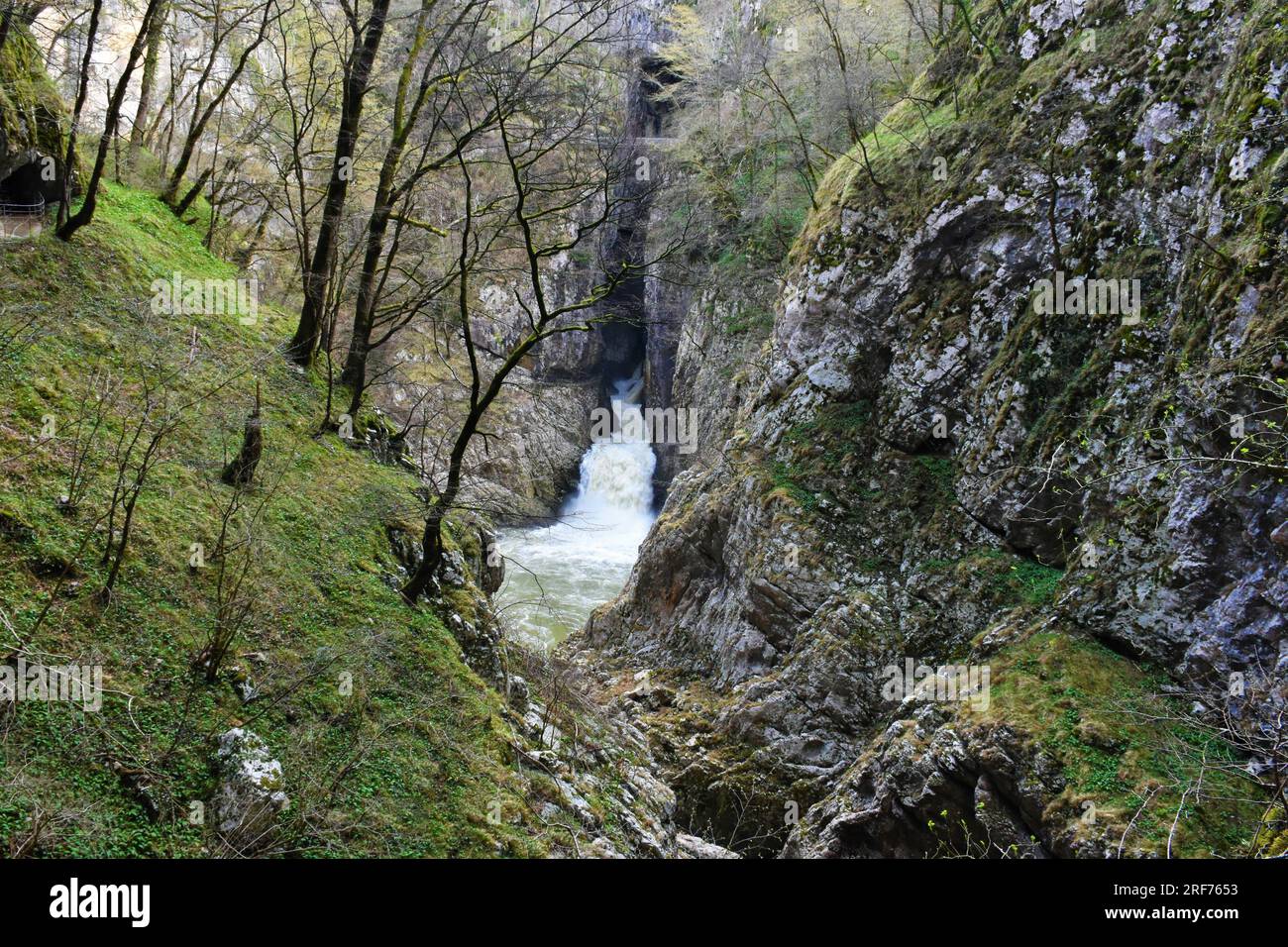 View of Reka river flowing to dolina from a cave in Skocjan caves in ...