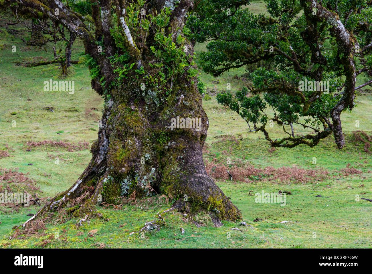 Unesco statte unesco welterbe hi-res stock photography and images - Alamy
