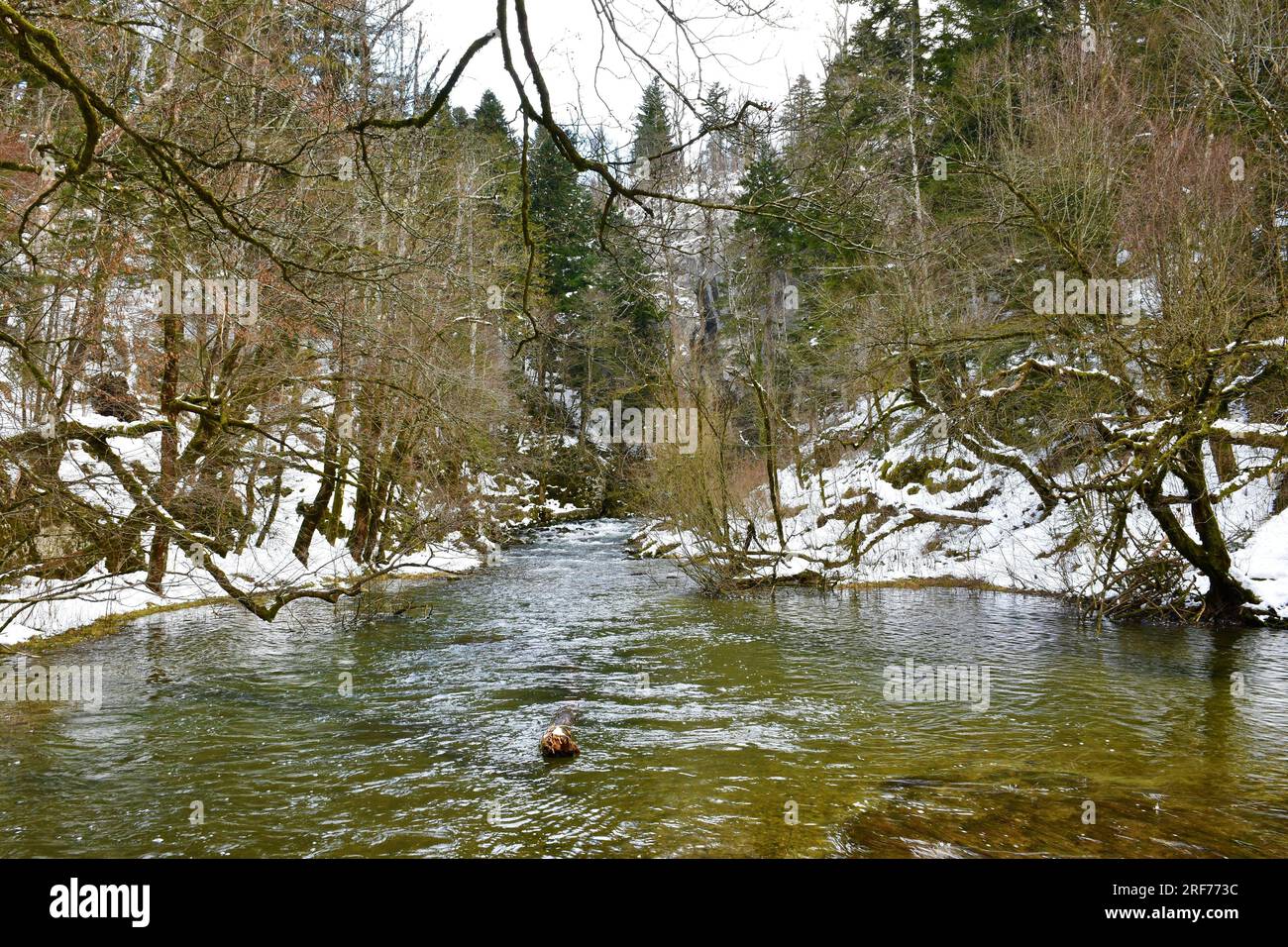 View of Rak river in Rakov Skocjan, Notranjska, Slovenia Stock Photo ...