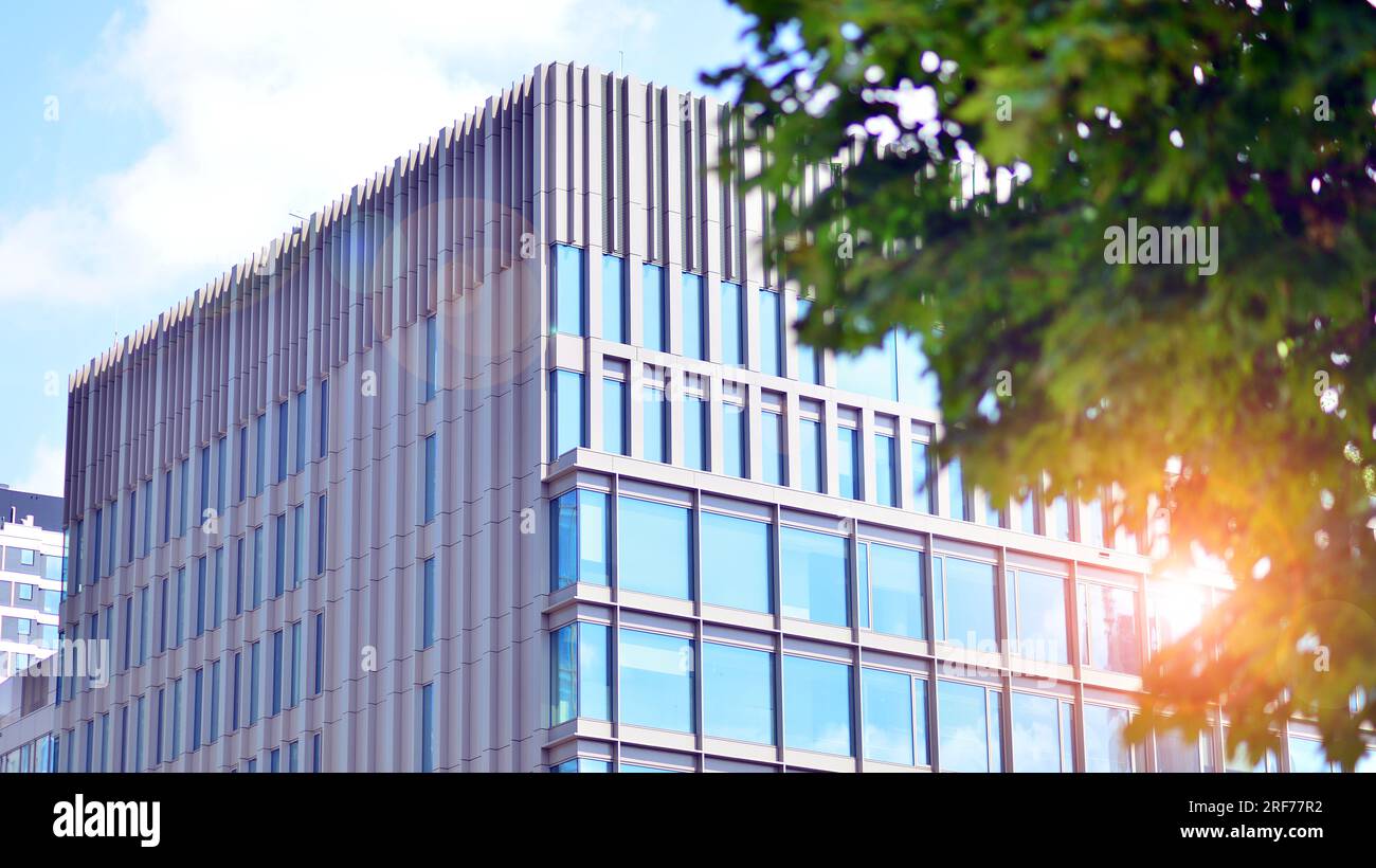 Fresh green trees and office building, business concept. Eco building ...