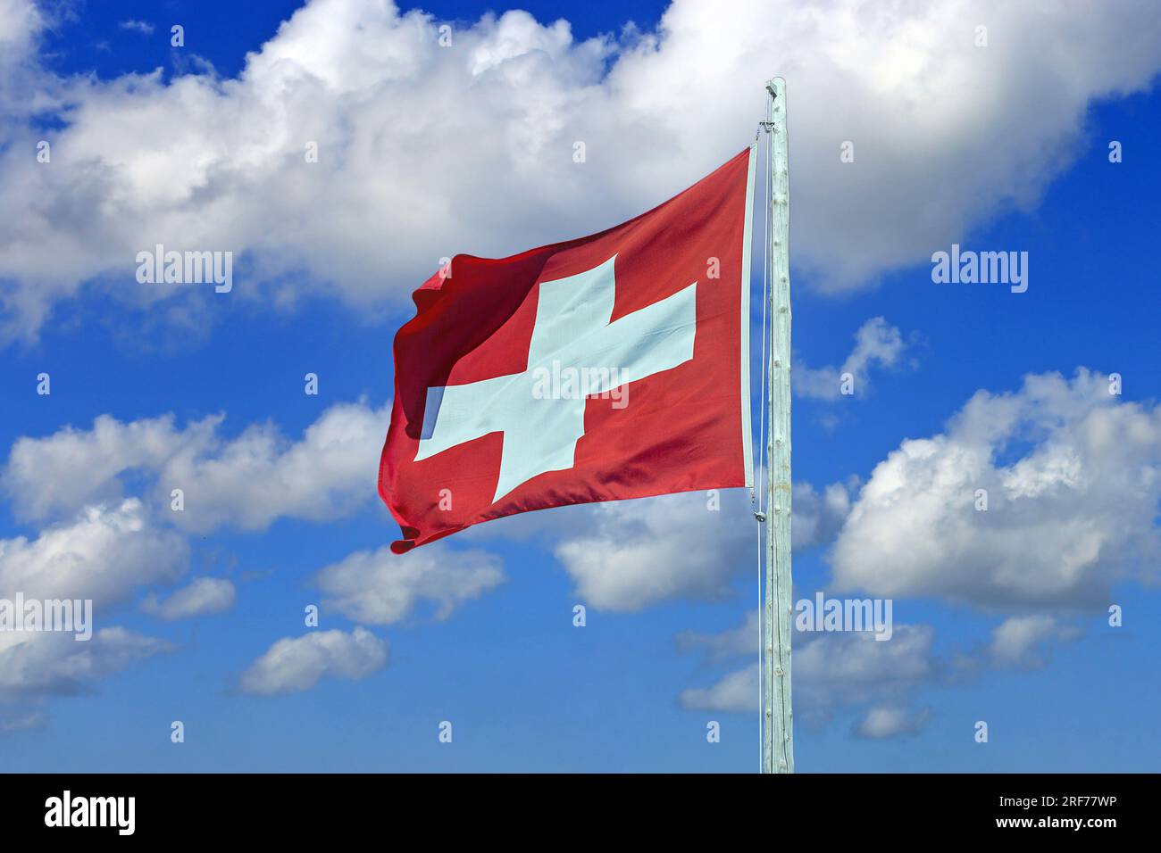 Nationalfahne der Schweiz vor blauen Himmel, Fahne, Wappen ...