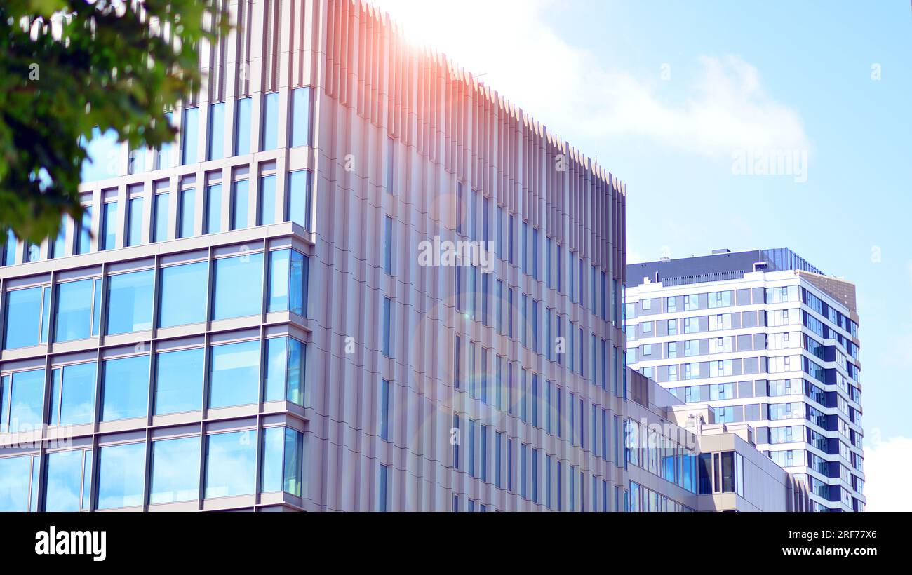 Fresh green trees and office building, business concept. Eco building ...