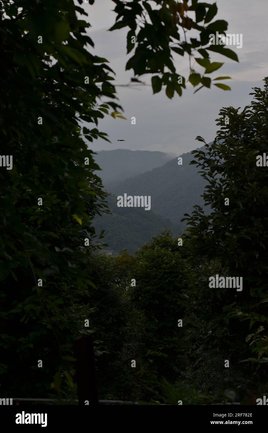View from Pokhara Nepal Bhadrakali Temple Stock Photo - Alamy