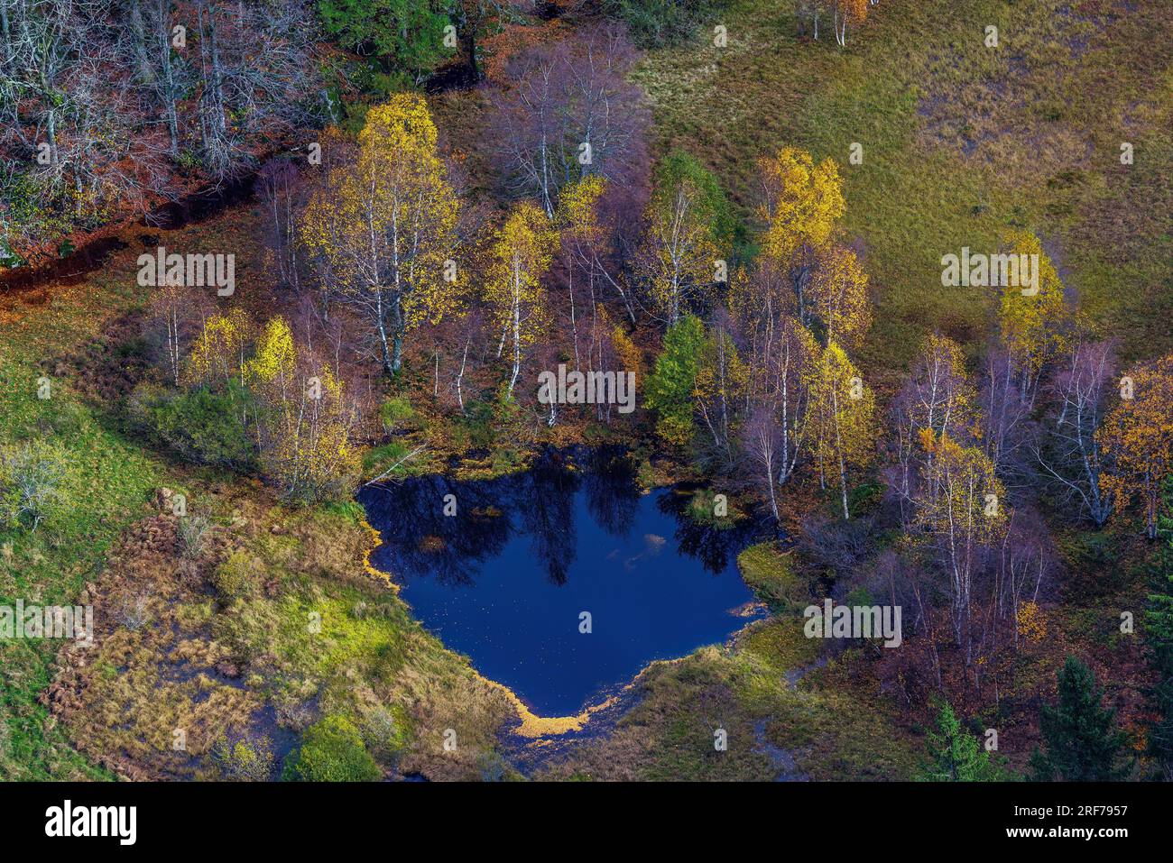 Vogesen landschaft hi-res stock photography and images - Alamy
