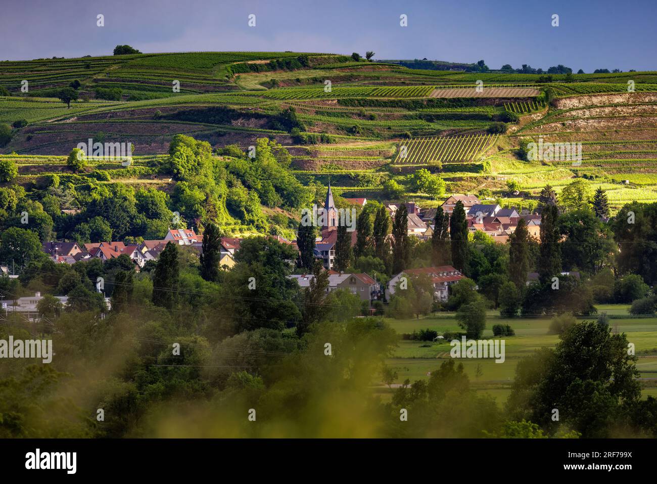 Kaiserstuhlgebiet hi-res stock photography and images - Alamy