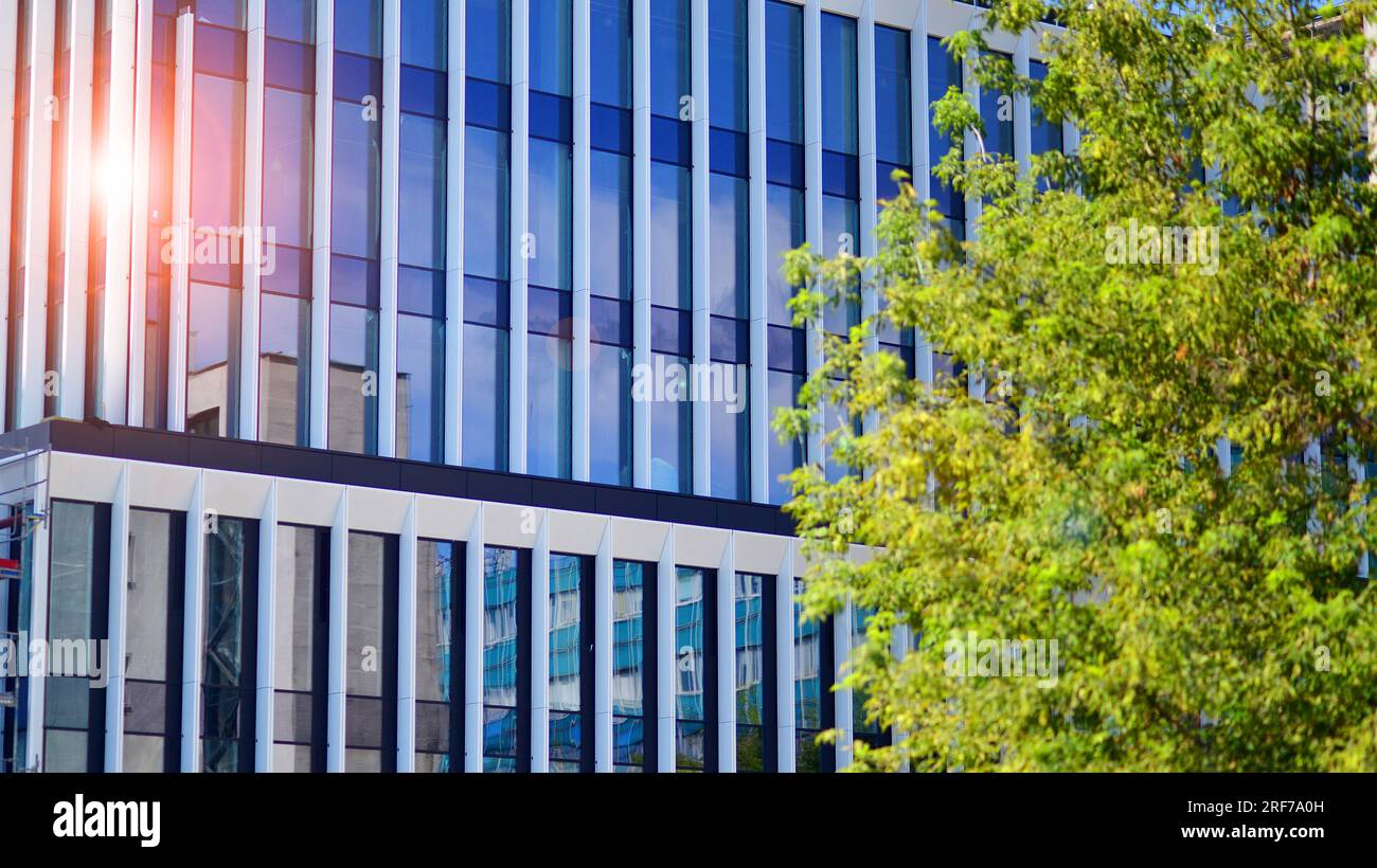 Fresh green trees and office building, business concept. Eco building ...