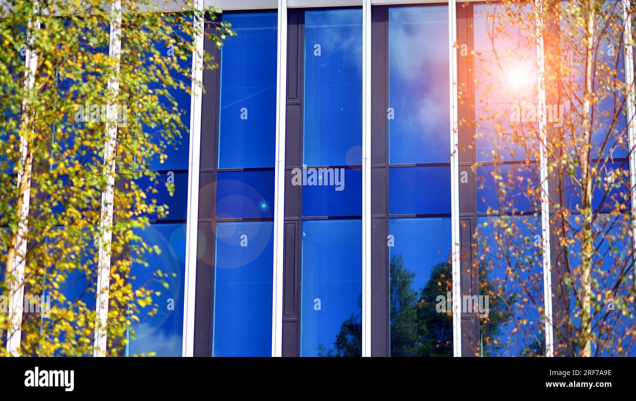 Fresh green trees and office building, business concept. Eco building ...