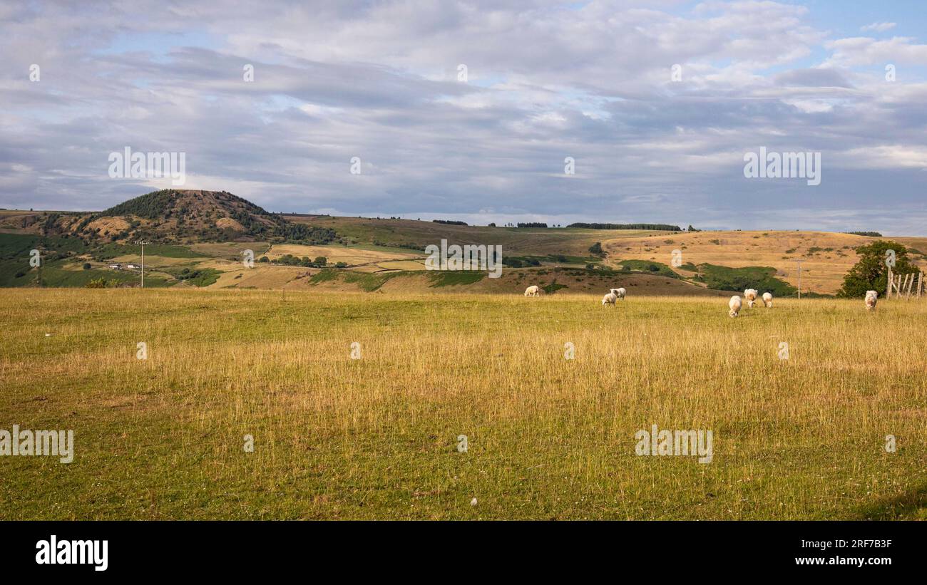 A view across the Rhondda Fawr Valley towards Tylorstown Tip on the ...