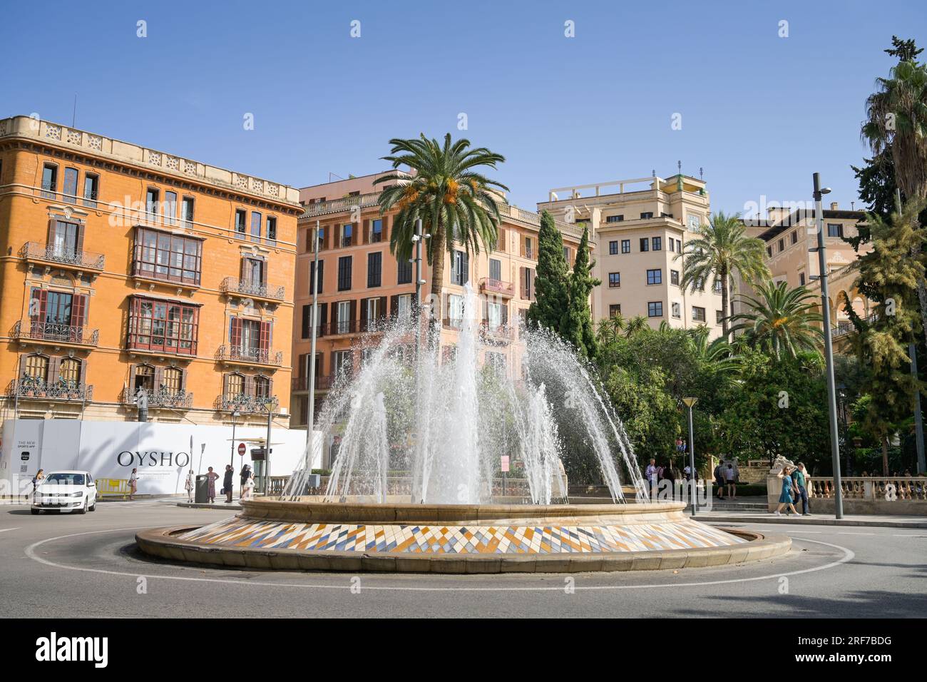 Palma reina hi-res stock photography and images - Alamy