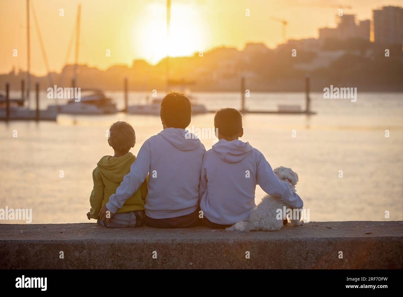 Children, boys, brothers, enjoying sunset over river with their pet ...