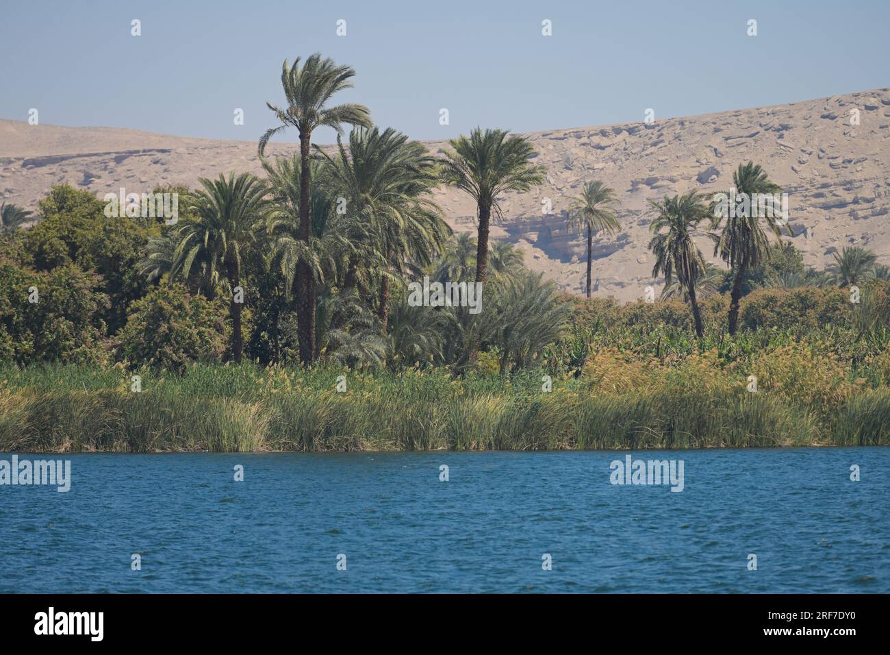 See palmen landschaft hi-res stock photography and images - Alamy