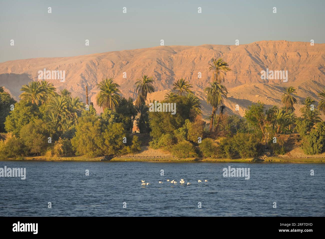 Nil landschaft hi-res stock photography and images - Alamy