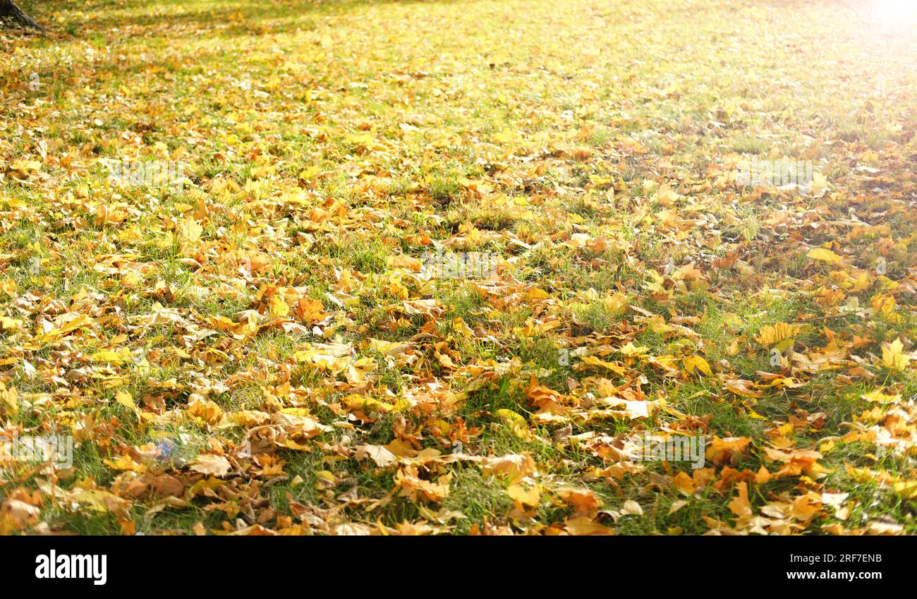 Season horizontal hi-res stock photography and images - Alamy