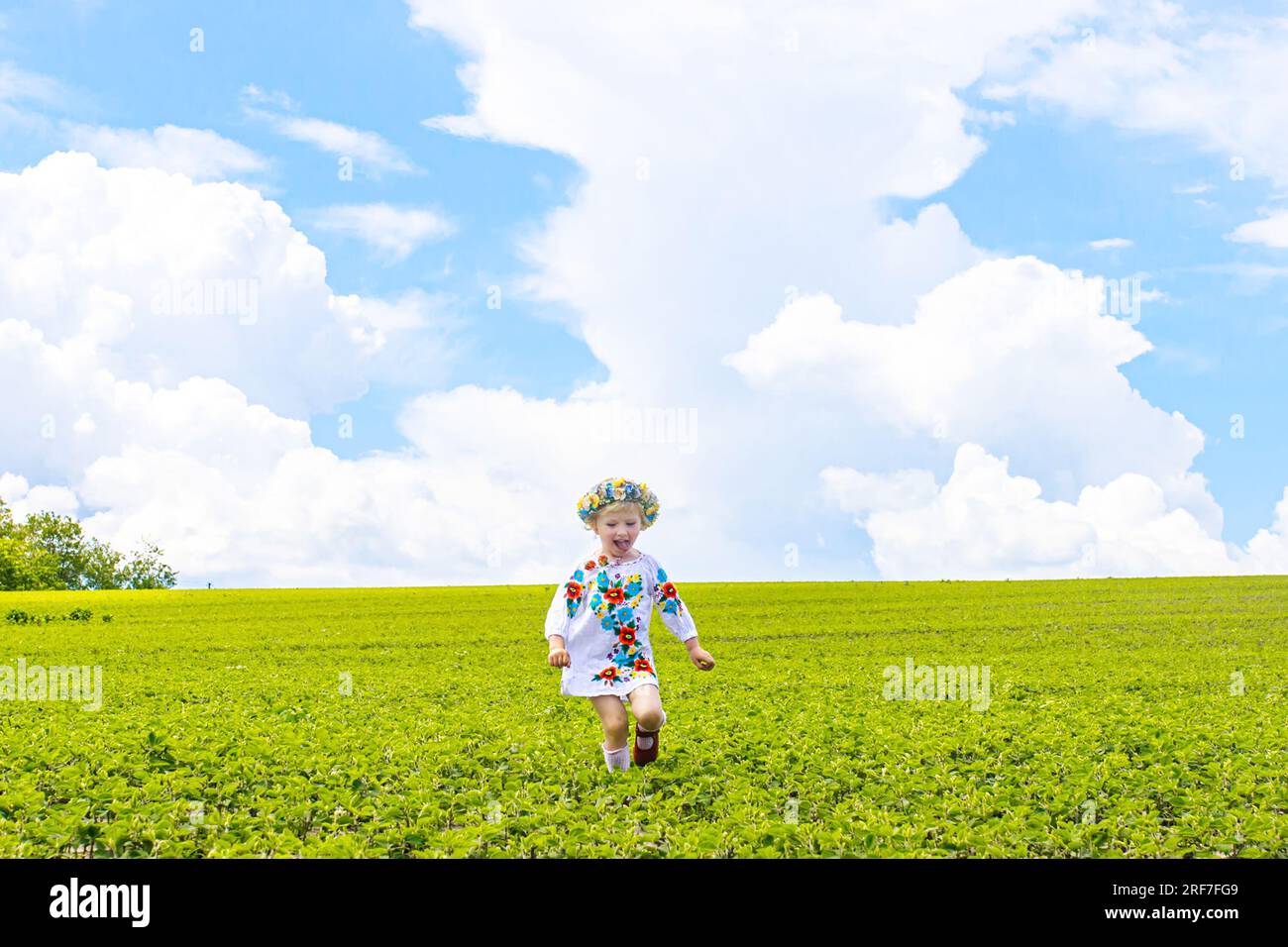 flag of Ukraine is on the shoulders of a little Ukrainian girl. Happy ...