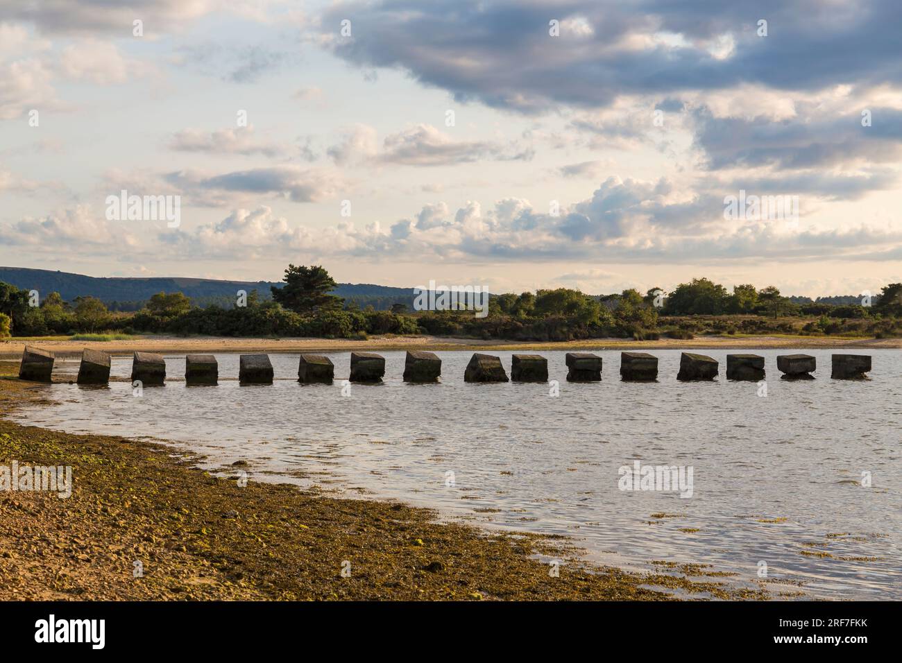 Dragons Teeth, World War II tank traps defence blocks, at Studland ...