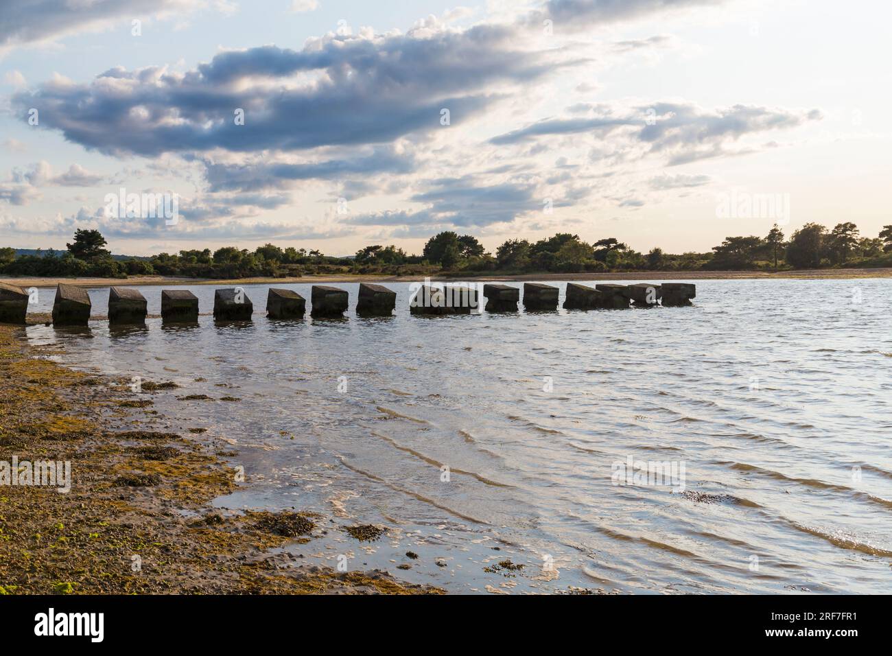 Dragons Teeth, World War II tank traps defence blocks, at Studland ...