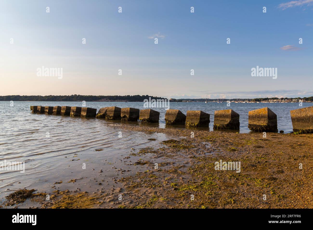 Dragons Teeth, World War II tank traps defence blocks, at Studland ...