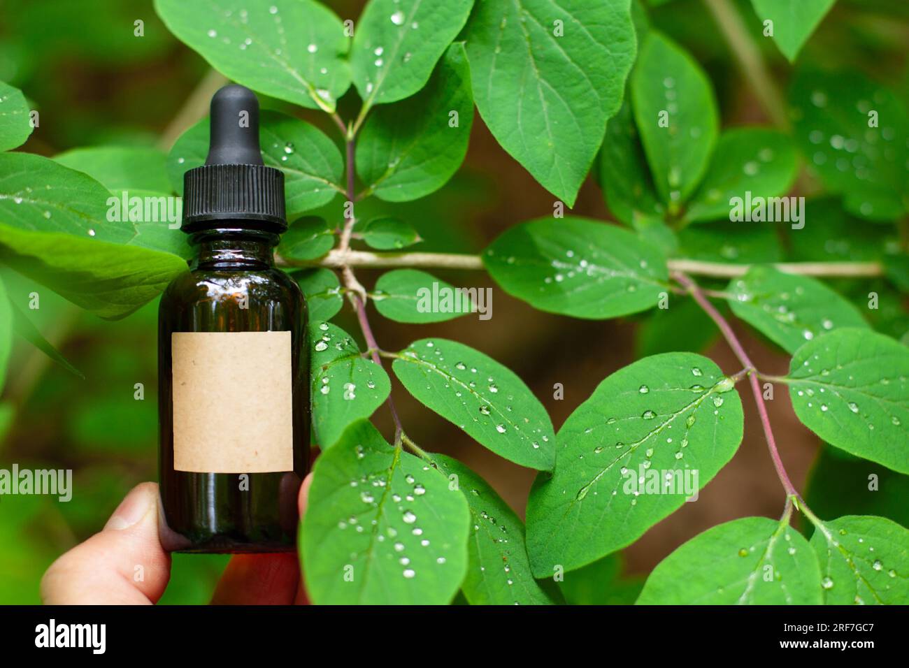 A dropper bottle mockup for a skin moisturizing product, elegantly ...
