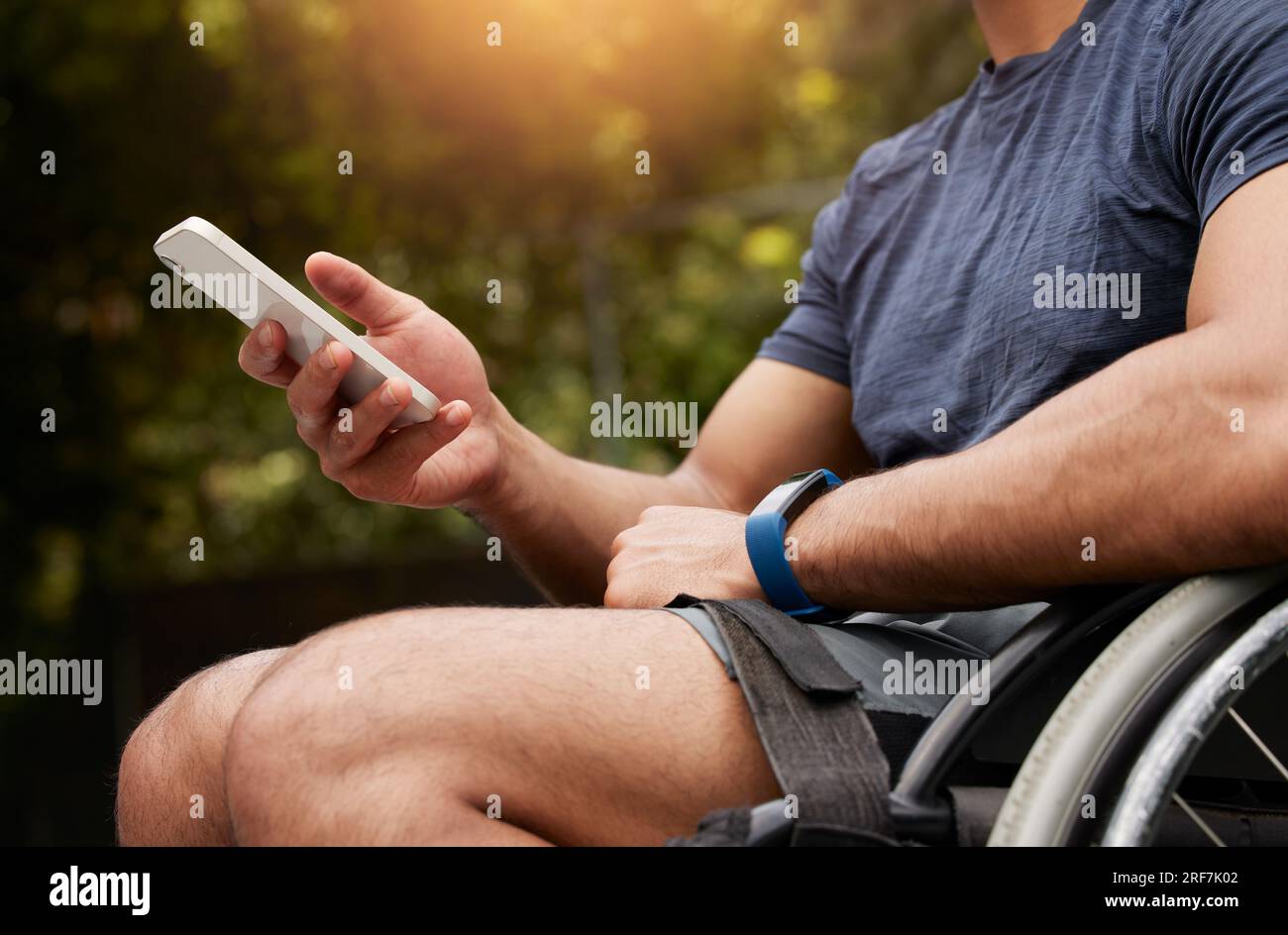 Phone, wheelchair and hands of person with disability typing internet ...