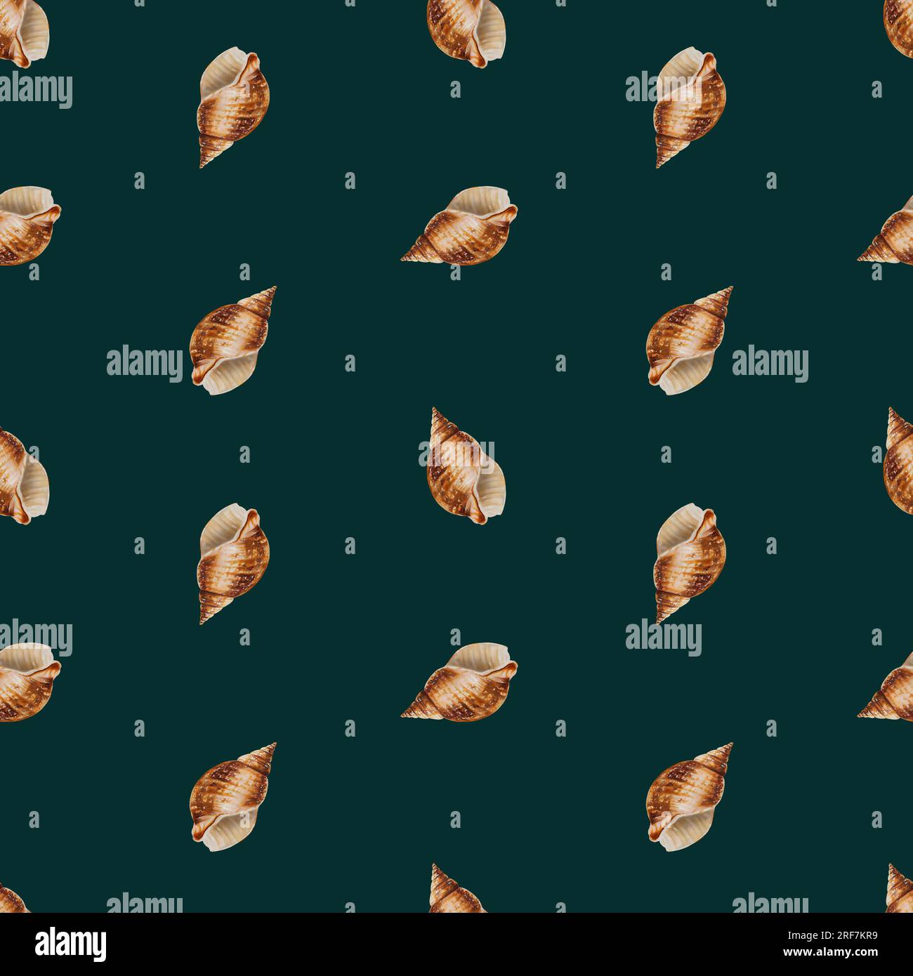Watercolor seamless pattern with shells. Hand painting clipart ...