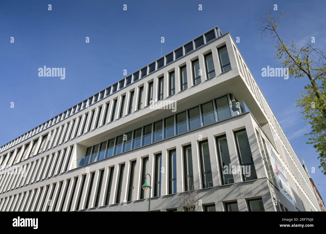 Hochschule Fresenius, Moritzstraße, Wiesbaden, Hessen, Deutschland ...