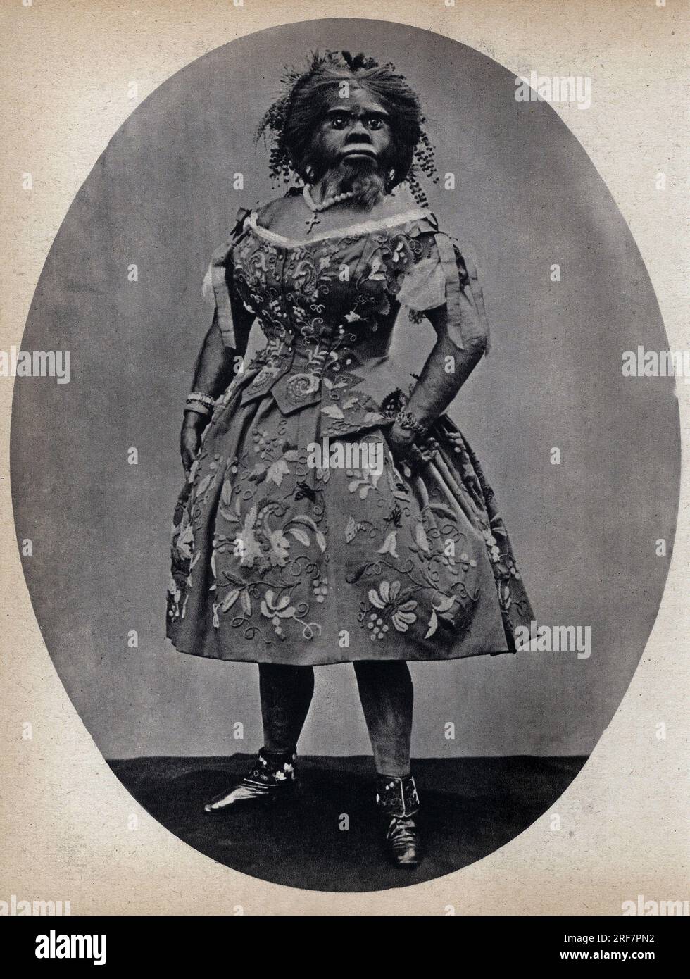 "Les Monstres", la femme chien. Photographie, fin 19eme siecle, Paris ...