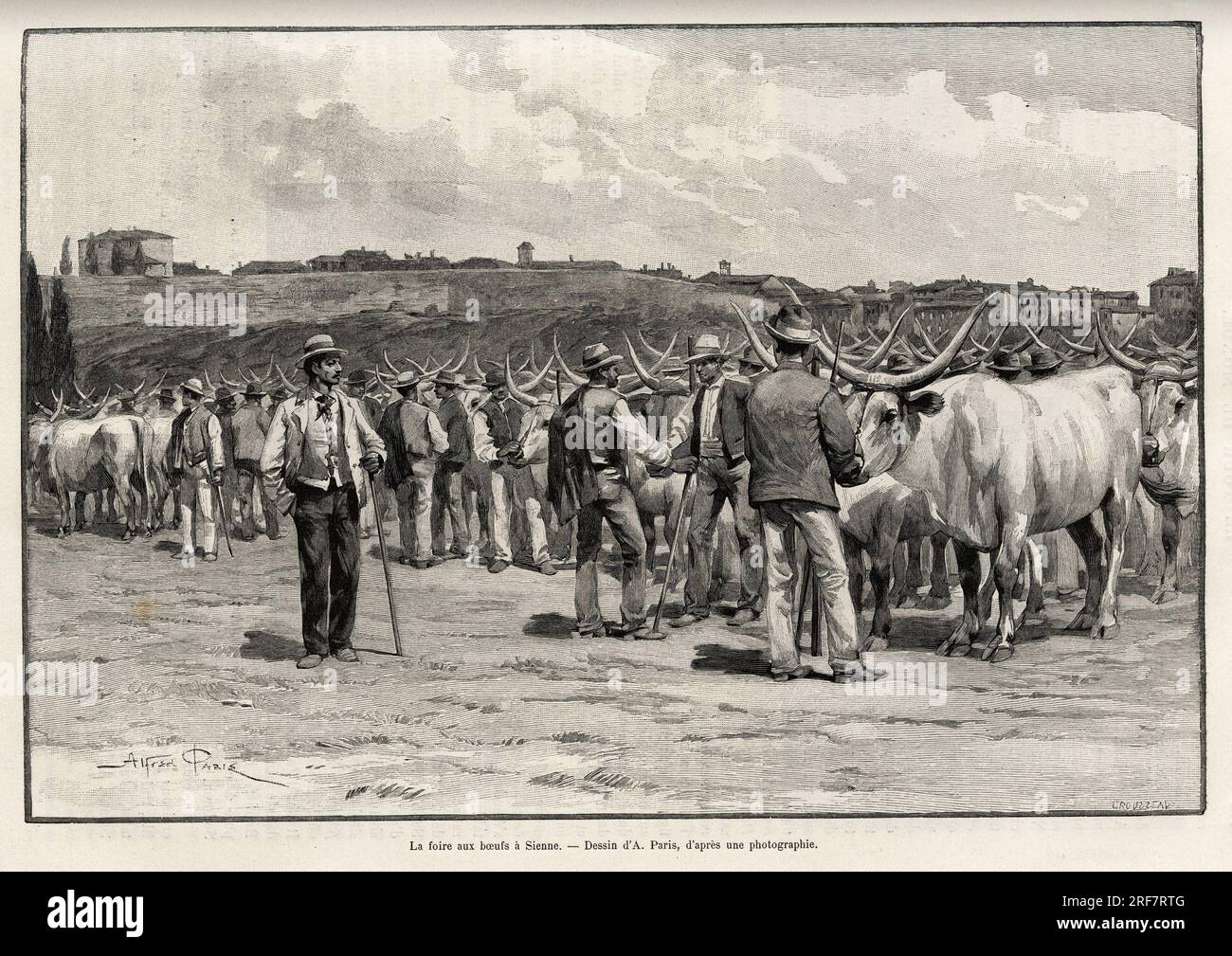 La foire aux boeufs a Sienne (Italie). Gravure de Taylor pour illustrer ...
