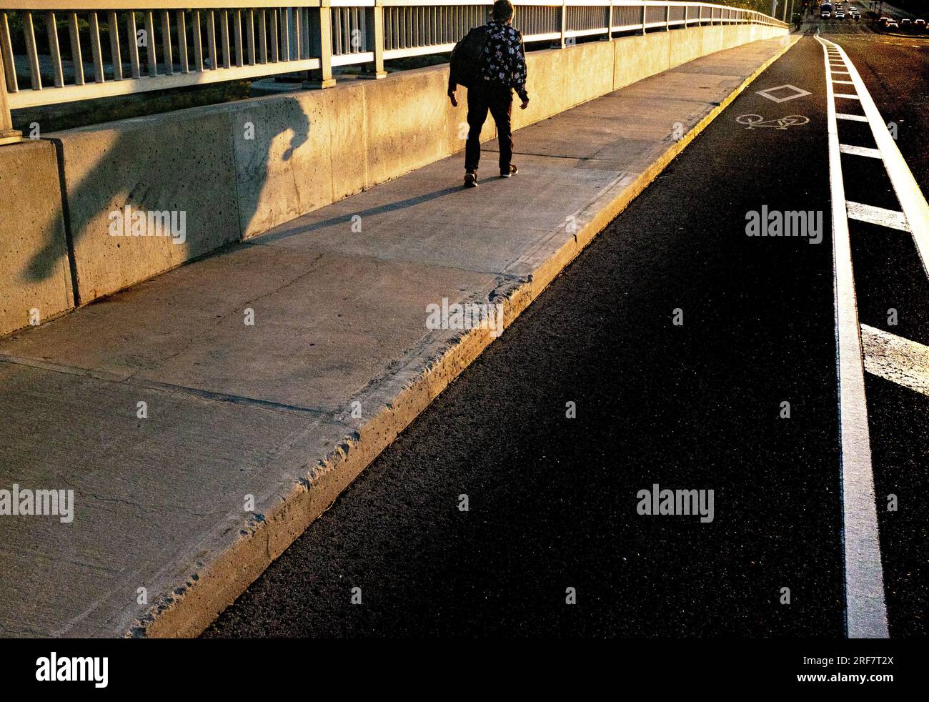 man walking towards sunset in Toronto Canada Stock Photo - Alamy