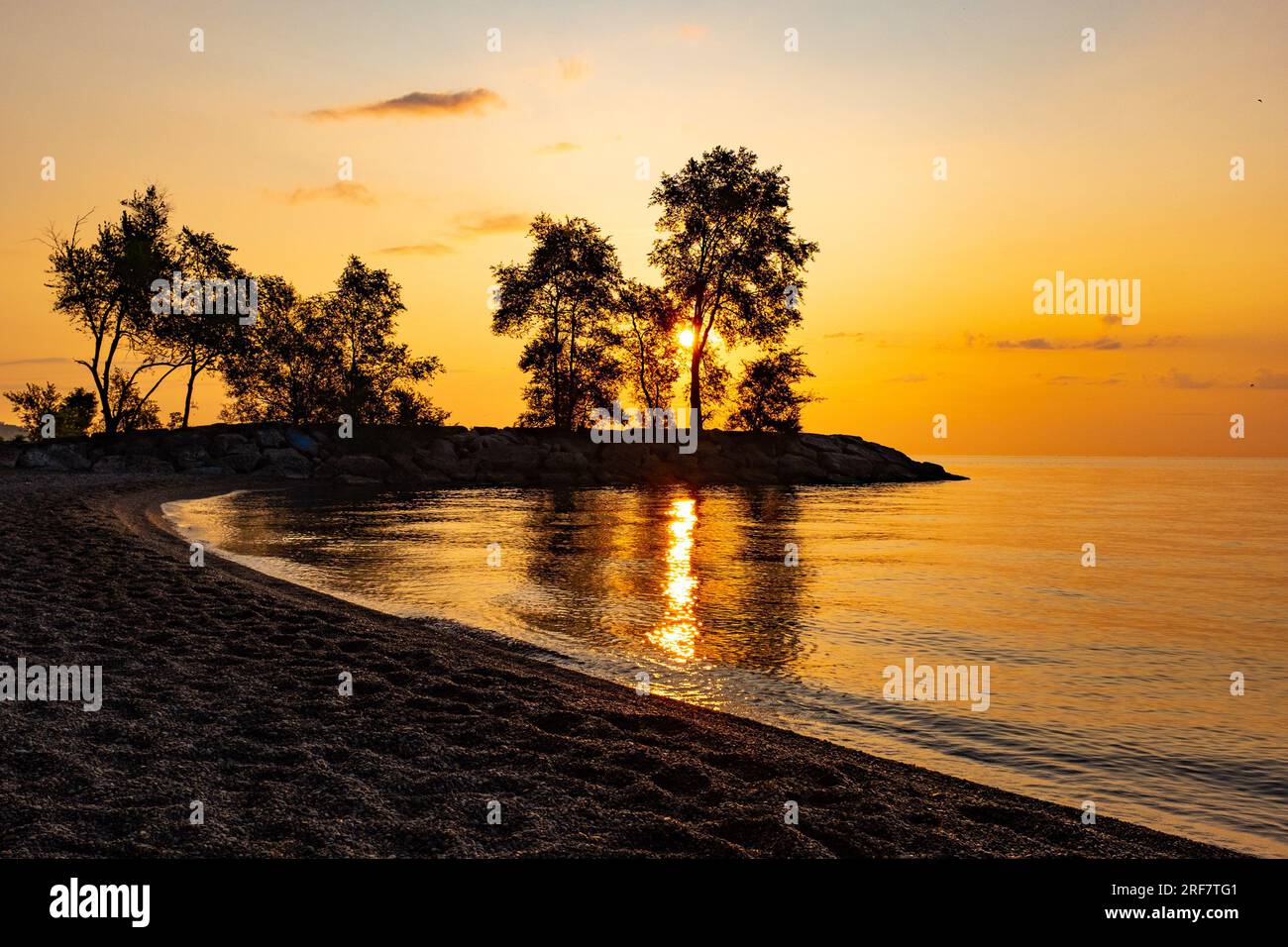 Toronto forest hi-res stock photography and images - Alamy