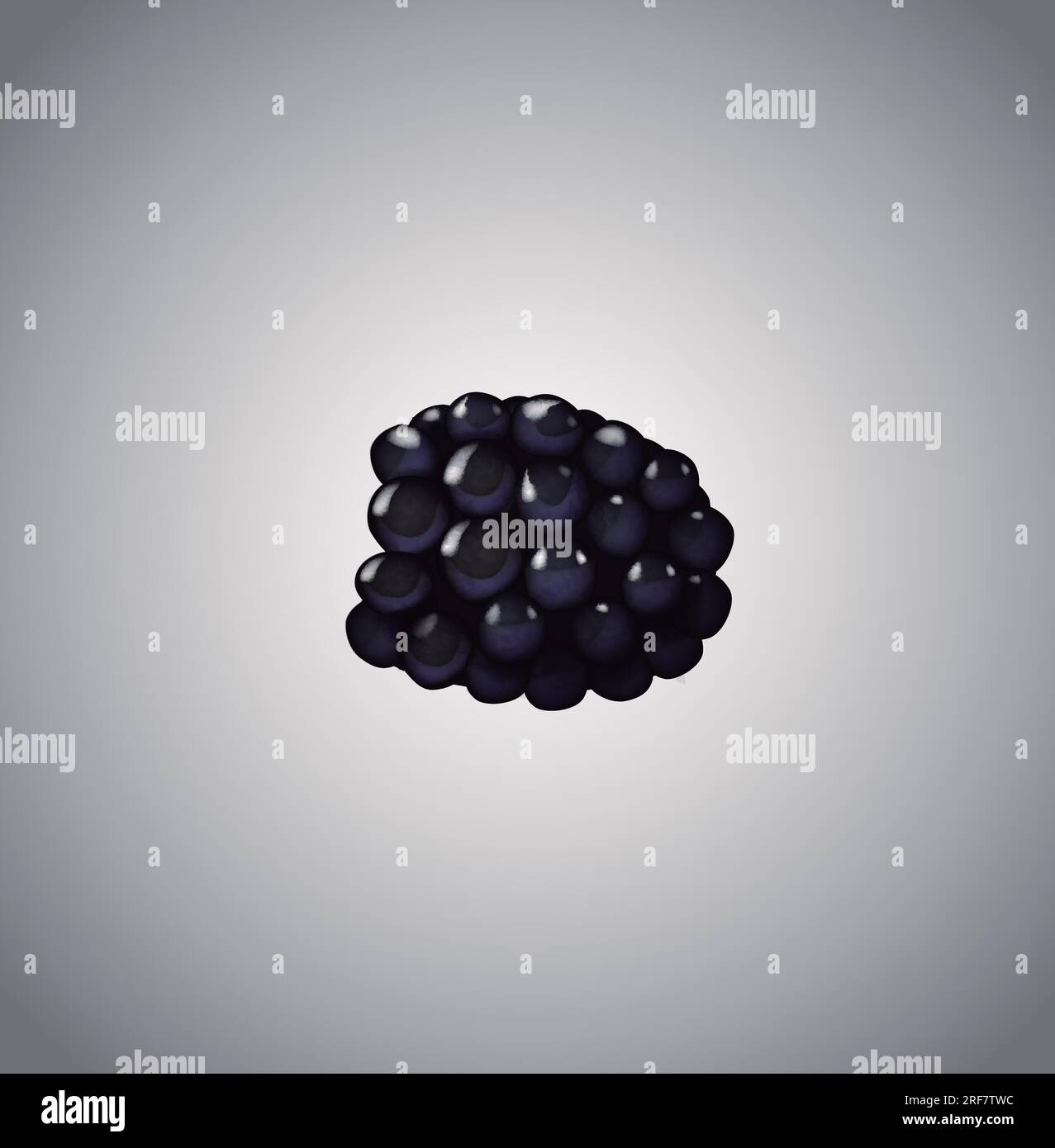 Blackberries white background Stock Vector Images - Alamy