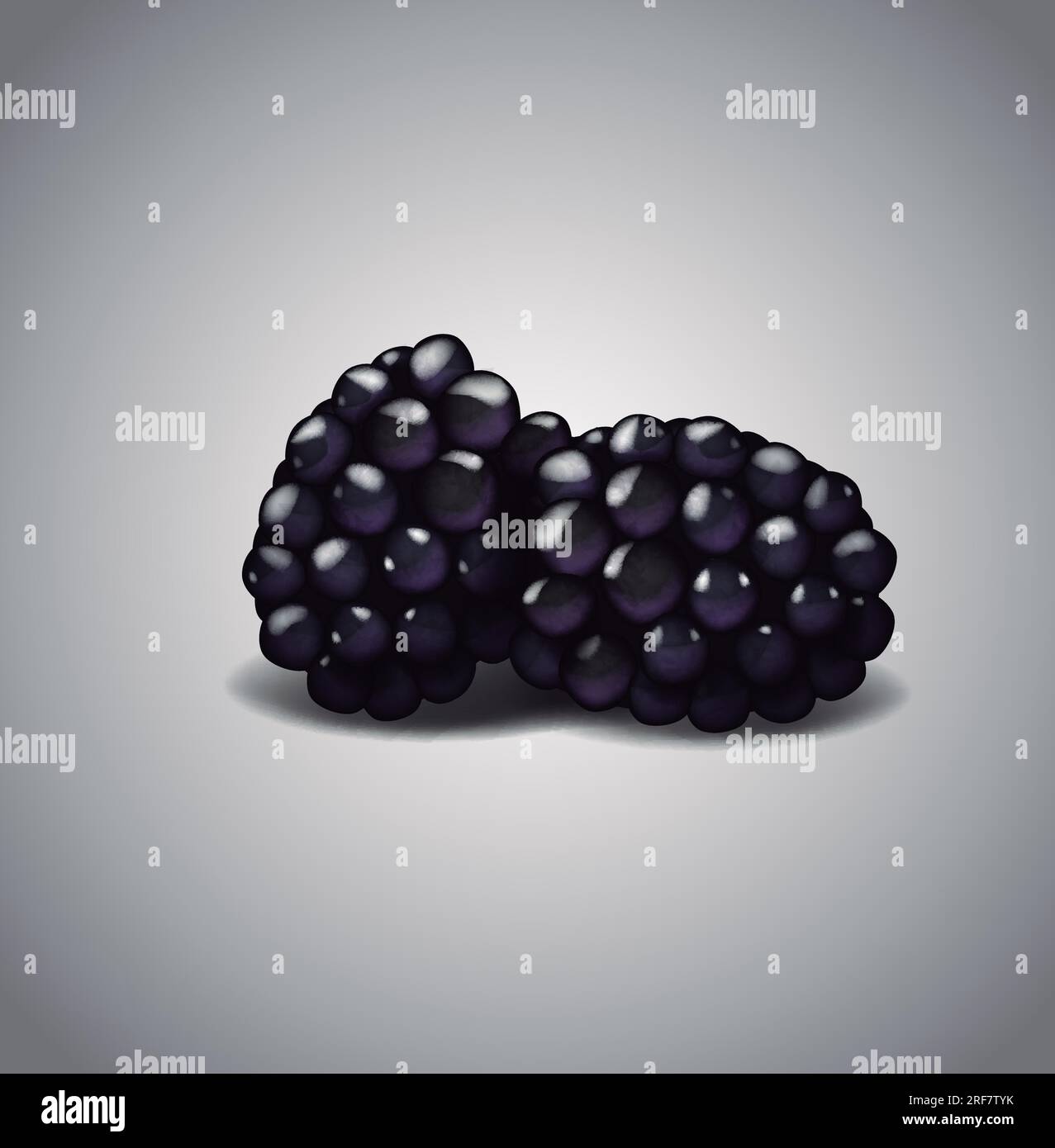 Blackberries white background Stock Vector Images - Alamy
