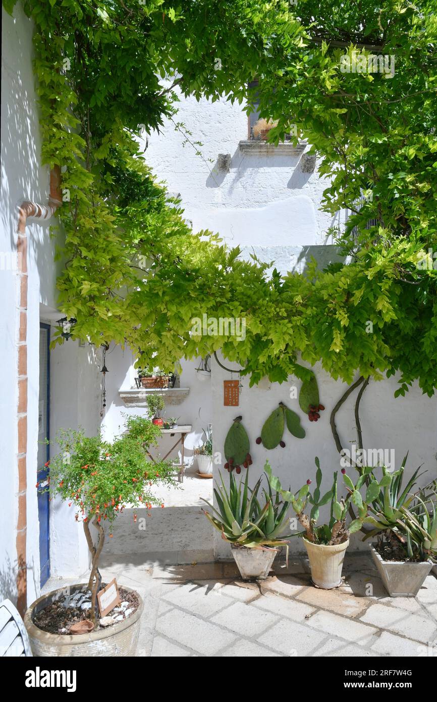 A characteristic street of Ruffano, an old village in the province of ...