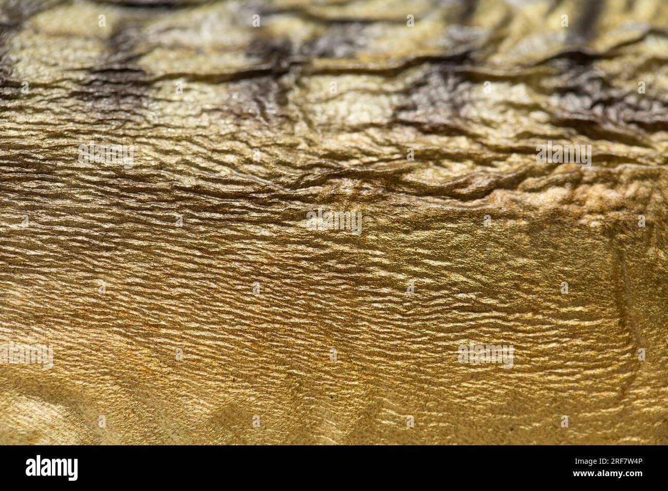 Mackerel fish skin omega 3 hi-res stock photography and images - Alamy