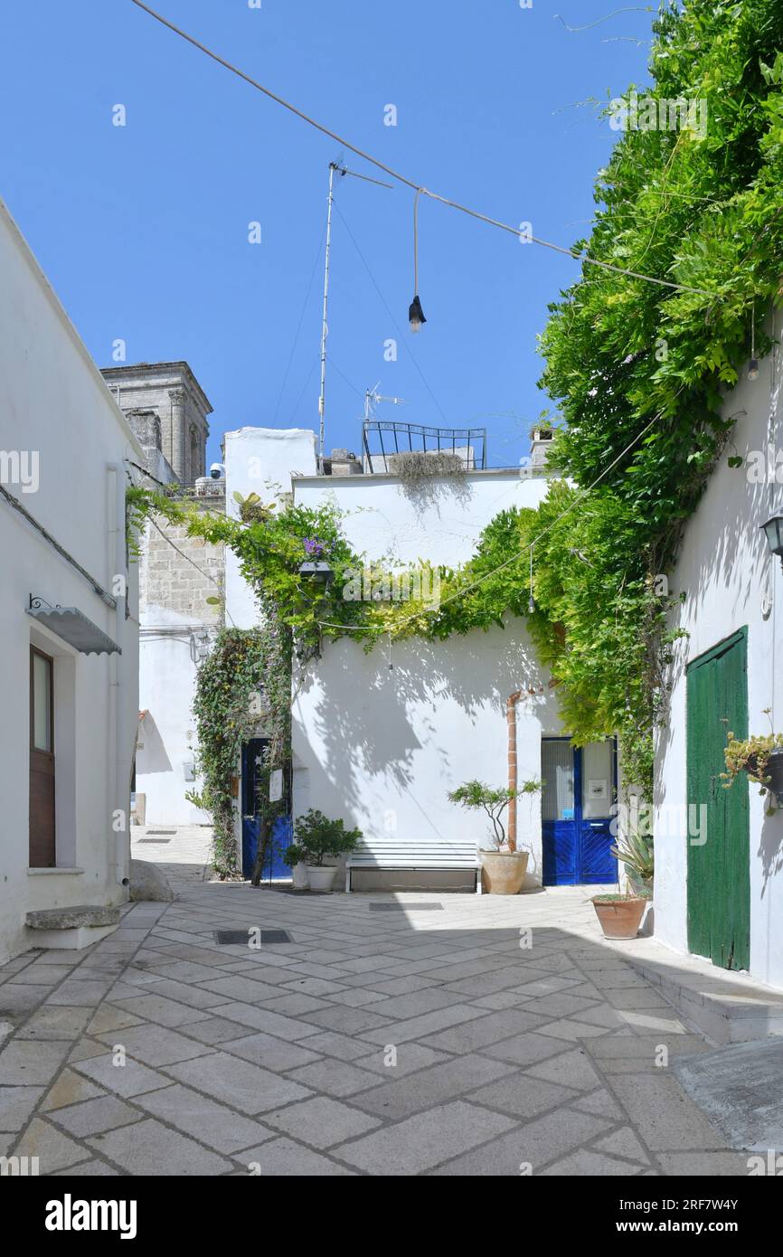 A characteristic street of Ruffano, an old village in the province of ...