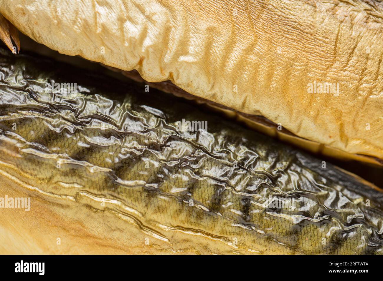 Detail of the skin of a hot smoked mackerel, Scomber scombrus, that ...