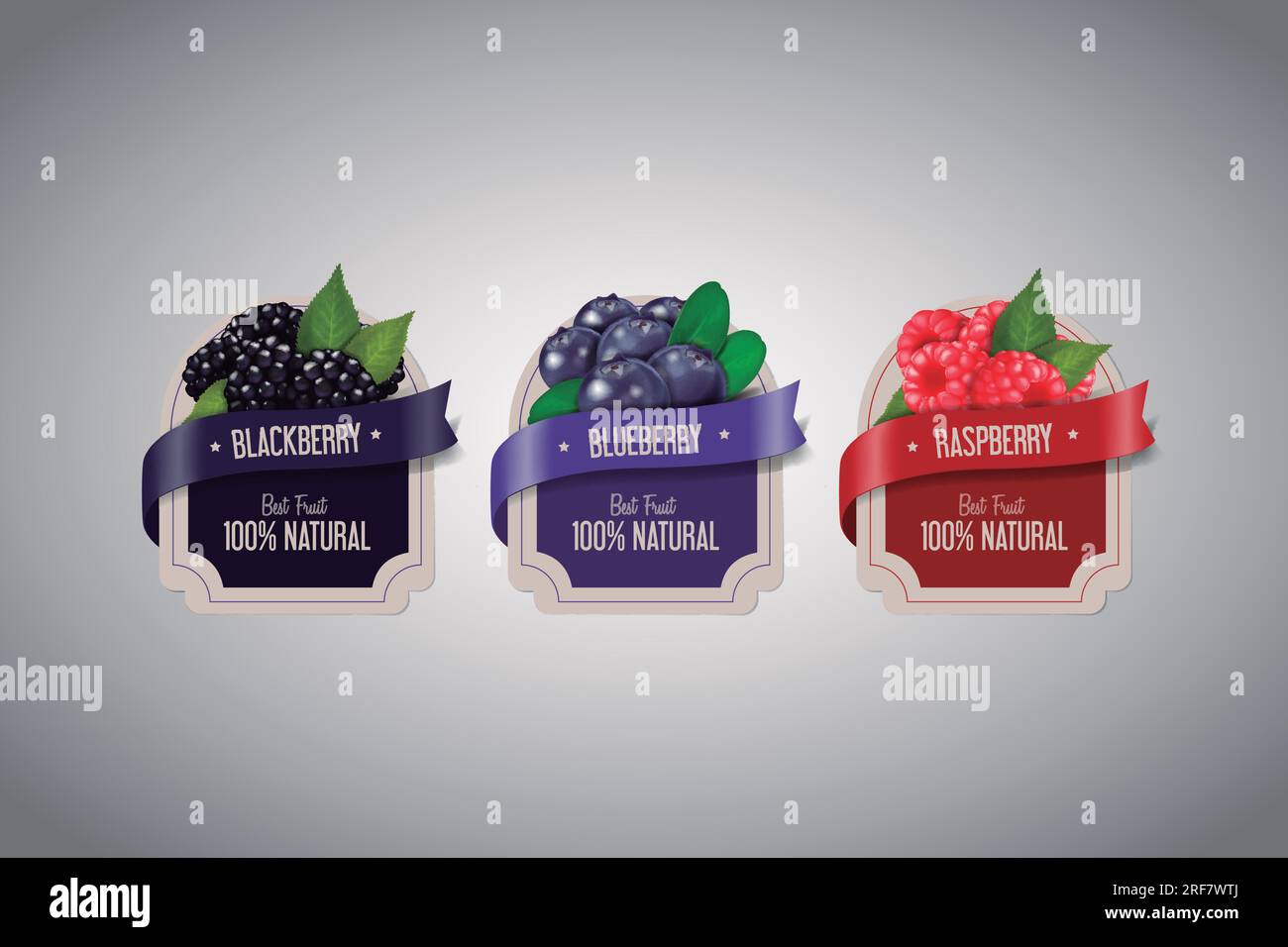 Realistic Berry labels set with blackberry, blueberry and raspberry ...