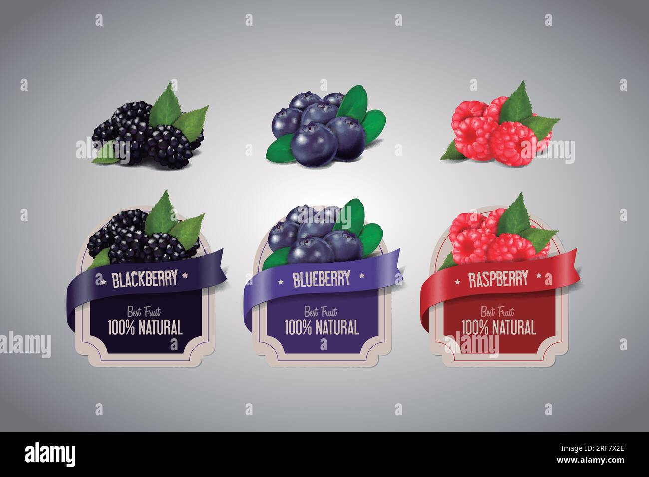 Blackberry jam Stock Vector Images - Alamy