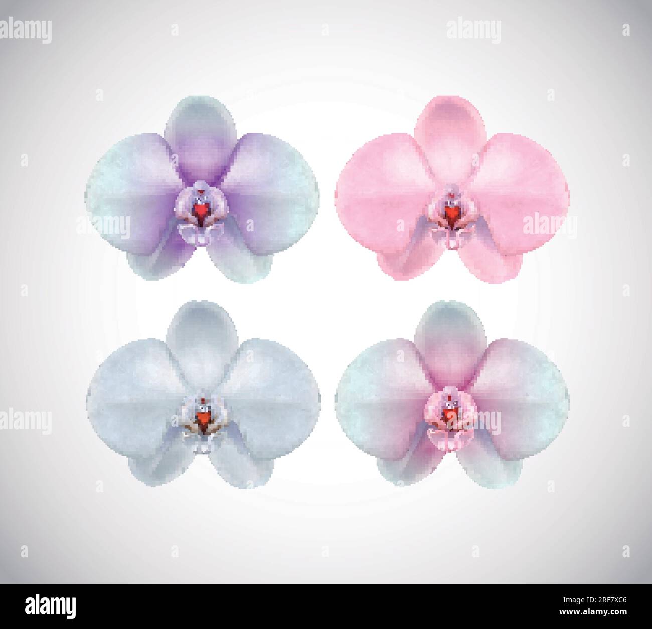 Single blue orchid Stock Vector Images - Alamy