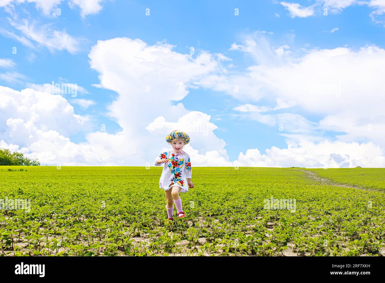 flag of Ukraine is on the shoulders of a little Ukrainian girl. Happy ...