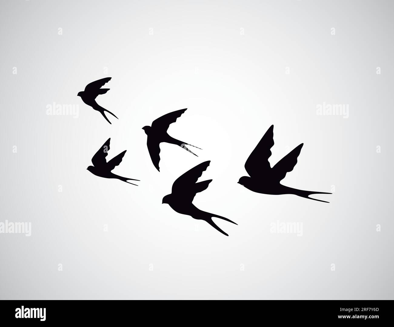Swallows Flying Tattoo