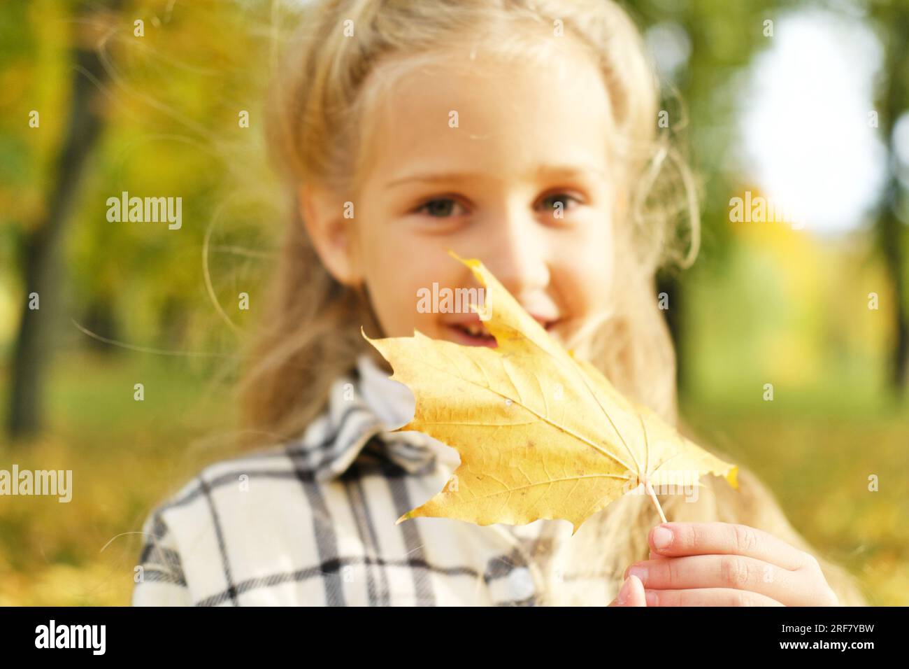 A little preschool blonde girl holds an autumn leaf in her hands ...