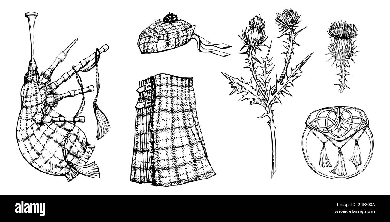 Scottish thistle drawing hi-res stock photography and images - Alamy