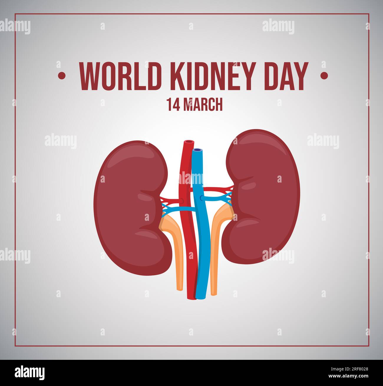World kidneys day. Vector illustration. Healthy kidney Stock Vector Image & Art - Alamy