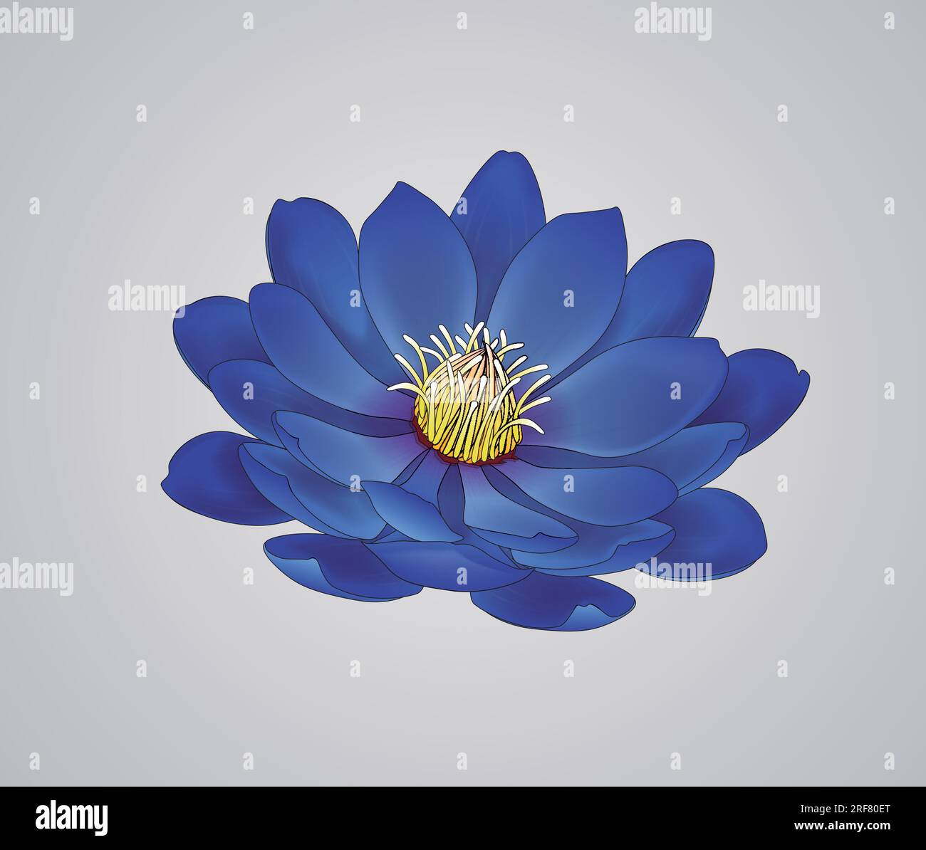 Blossoming beautiful blue waterlily or lotus flower draw isolated Stock ...