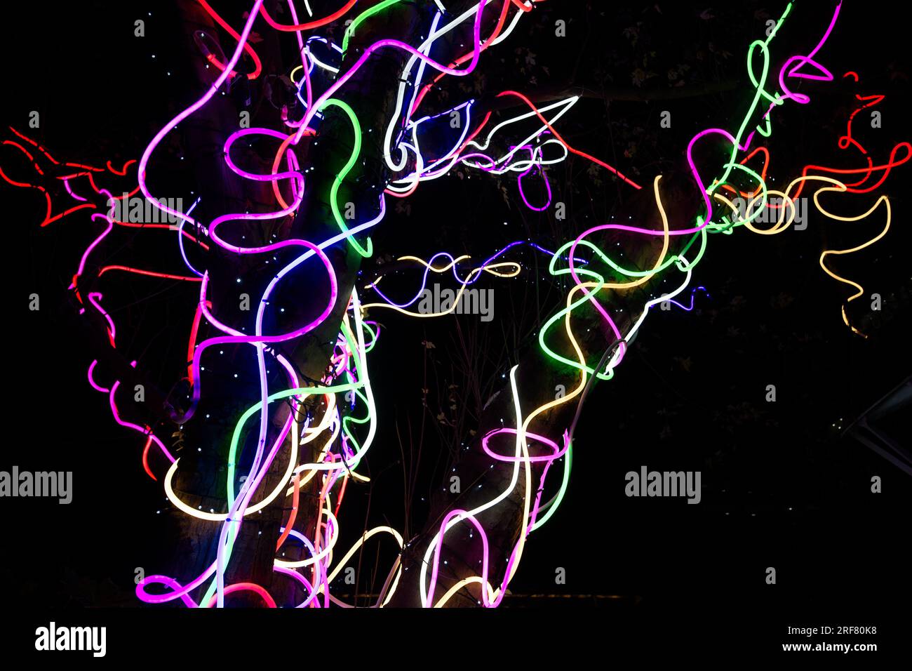A tree wrapped in neon rope lights as part of an arts festival in ...