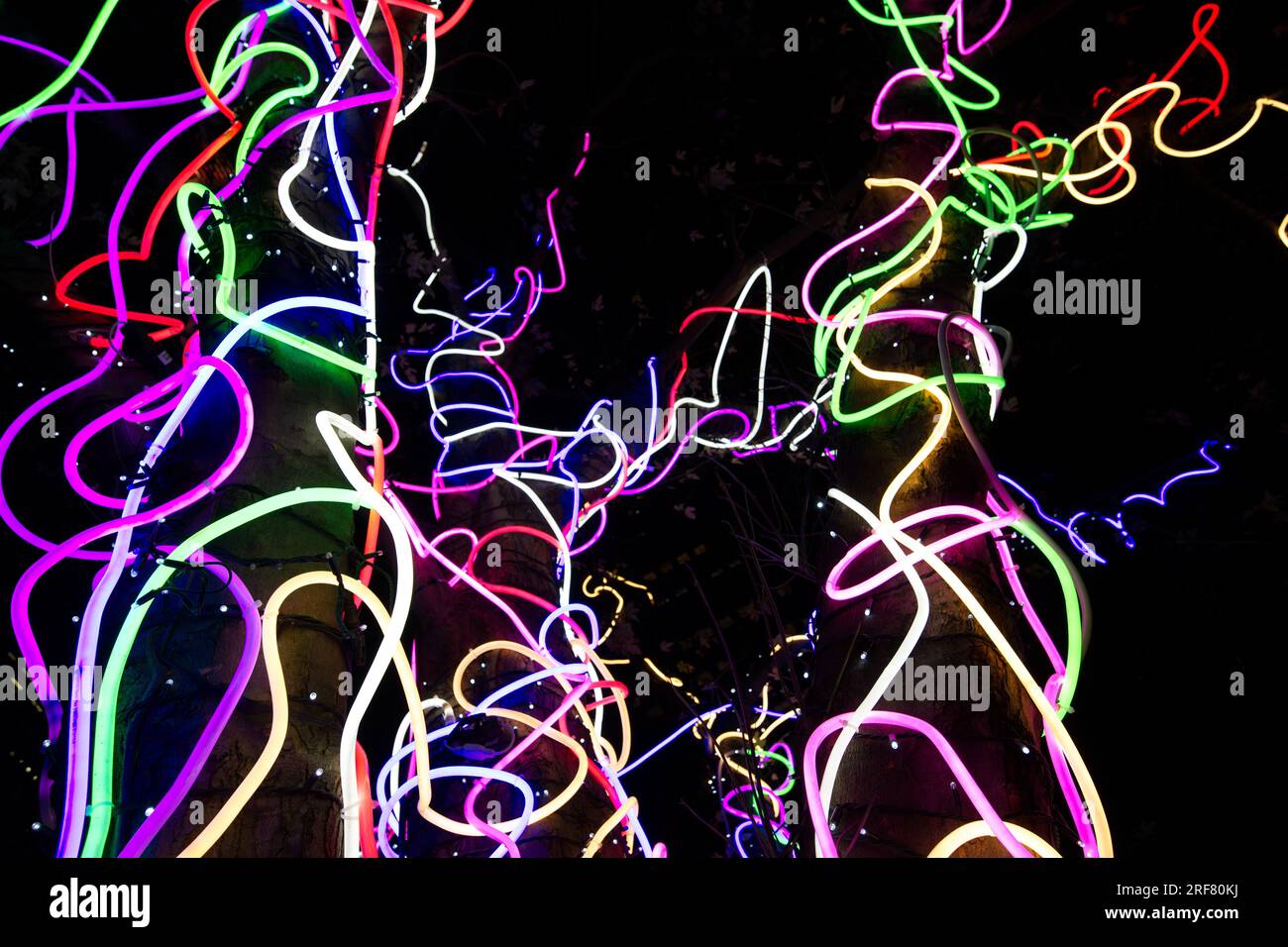 A tree wrapped in neon rope lights as part of an arts festival in ...
