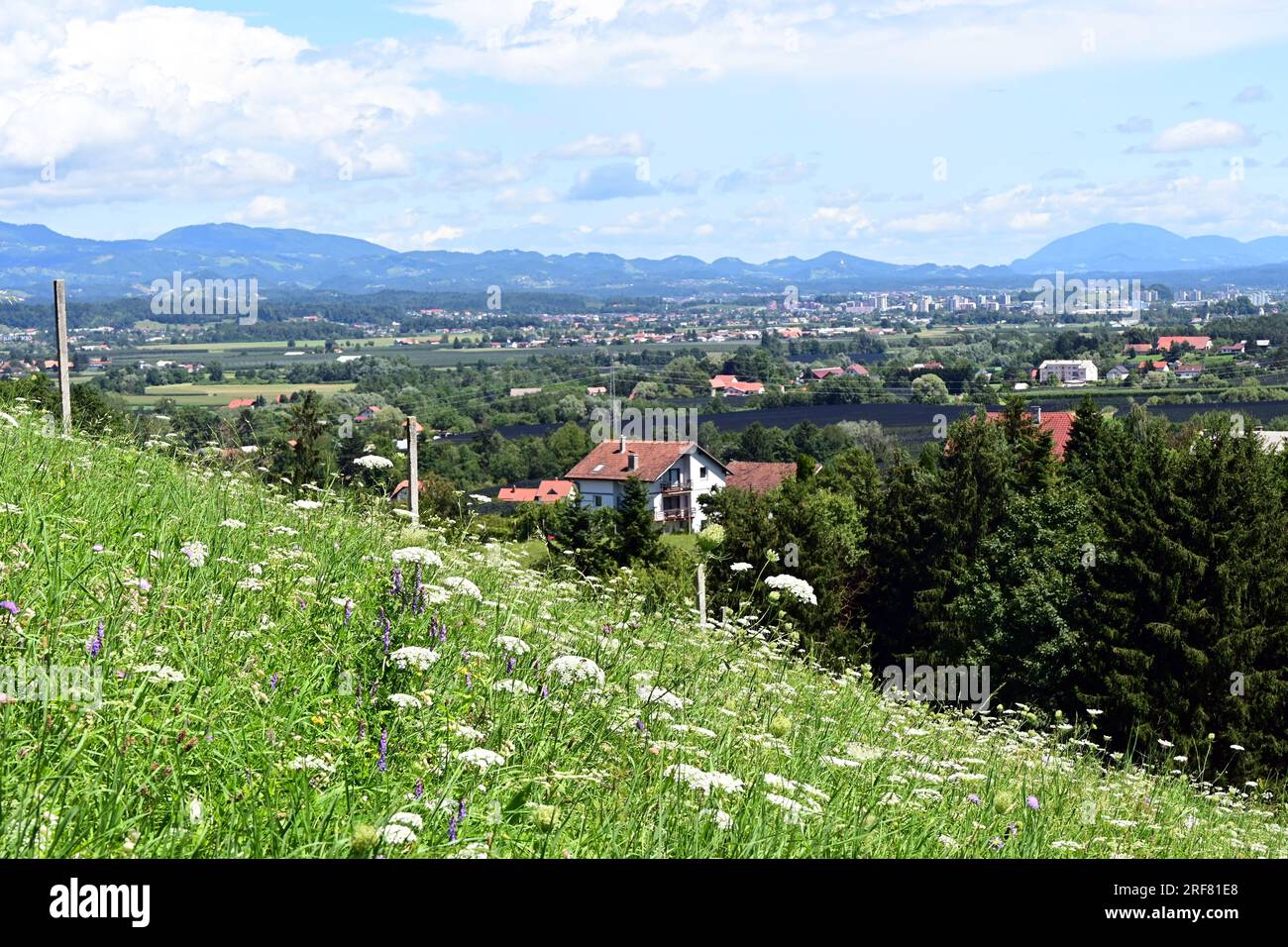 Meadow landscape photography hi-res stock photography and images - Alamy