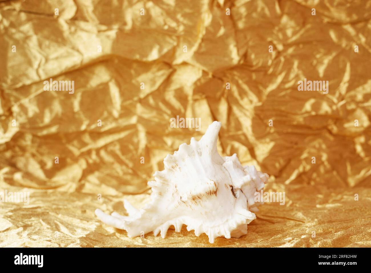 Shell gold hi-res stock photography and images - Alamy