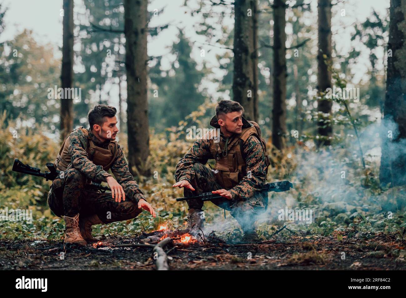 Blaze camouflage hi-res stock photography and images - Alamy